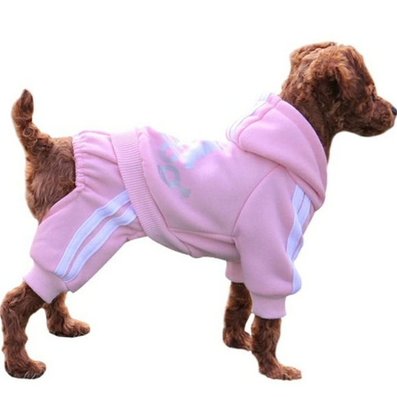 adidas | Dog | Nwot Blue Doggie Track Suit Adidog | Poshmark